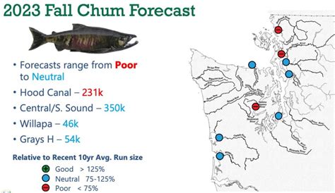 How To Catch Chum Salmon Pnw Bestlife