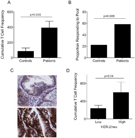 [pdf] A Degenerate Hla Dr Epitope Pool Of Her 2 Neu Reveals A Novel In