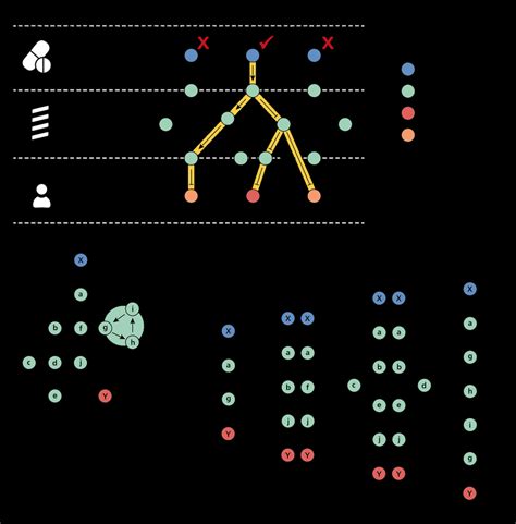 Schematic Illustration Of Causal Reasoning By Drug2ways Over Simplified