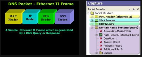 Something I Know Dns Query Message Format
