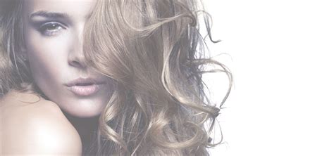 Evlogies Labs Llc Linkedin