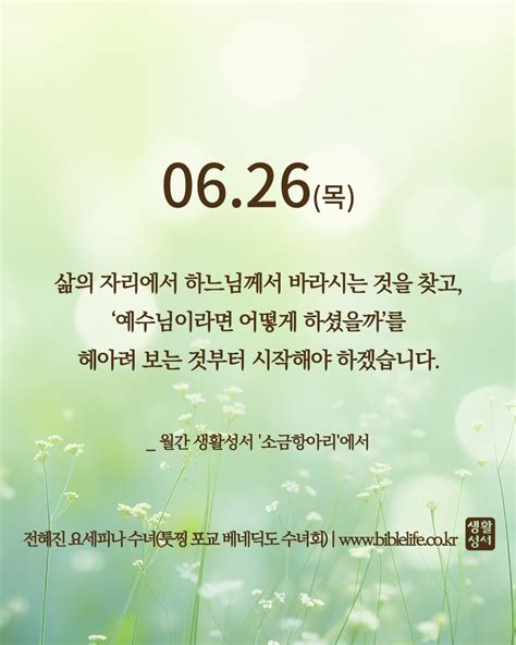 생활성서 생활성서 소금항아리 주님께서는 말과 행동이 온전히 일치하는 삶으로 우리를 초대하십니다 ⠀ 2025626연중 제12주간 목요일 ⠀ 마태오 복음 7장