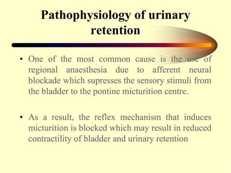 Postpartum Bladder Dysfunction Urinary Retention PPTX Pregnancy Reproductive Health
