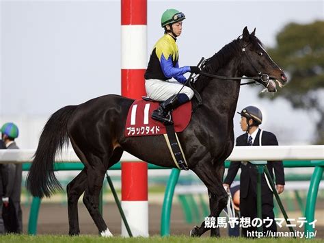ブラックタイド種牡馬2001年産 競走馬データtop｜競馬予想のウマニティ