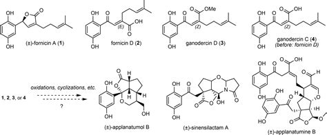 Divergent Total Synthesis Of Fornicin A Fornicin D And Ganodercin D