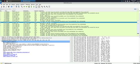 How To Setup Application Network Traffic Monitoring Using Mitmproxy Objection And Frida By