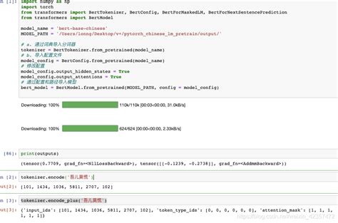 Bert4keras、transformers 加载预训练bert模型、句向量cls，字向量提取；tokenizer使用 Csdn博客