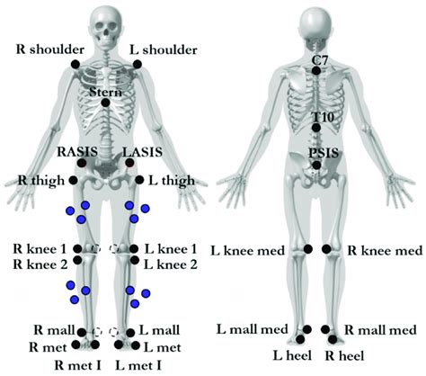 Cluster Based Marker Protocol With A Marker Set R Shoulder On The Download Scientific