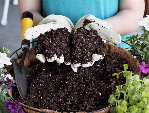How To Properly Store Potting Soil Backyard Boss