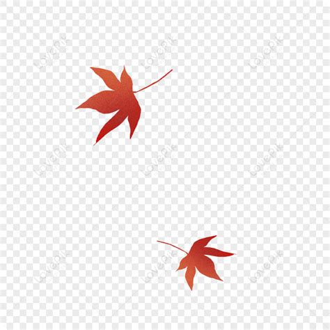 메이플 리프 Png 일러스트 무료 다운로드 Lovepik