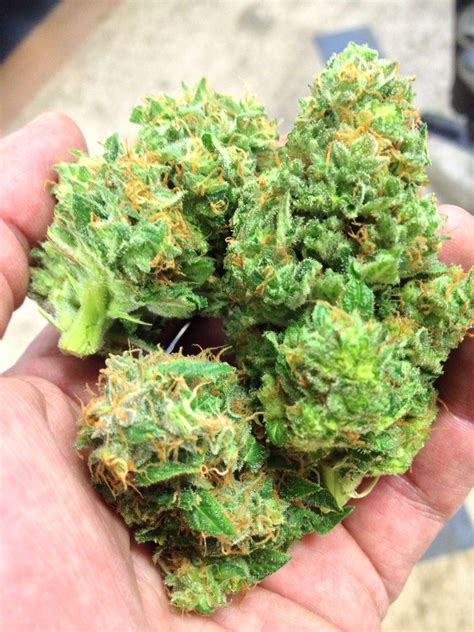 Abdulsalam Labarin Cin Gindi Hausa Labaran Batsa Da Cin Gindi Zainab Hausa News Update