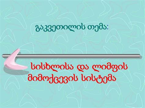 სისხლისა და ლიმფის მიმოქცევის სისტემა Ppt