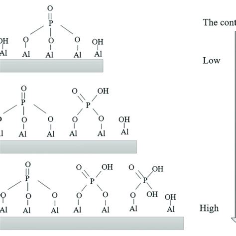 Profile Of The Relationship Between Phosphate Compounds And Phosphorus