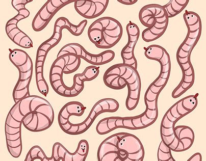 Worms Drawing Projects Photos Videos Logos Illustrations And Branding Behance