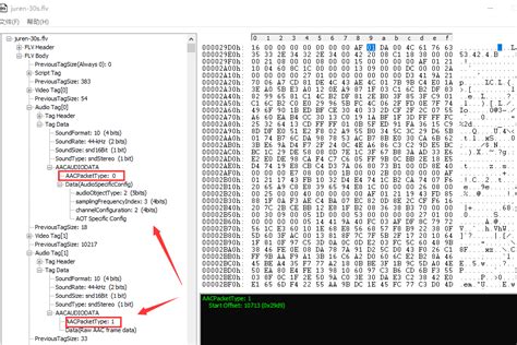 Flv封装格式—音视频基础知识 · Ffmpeg原理