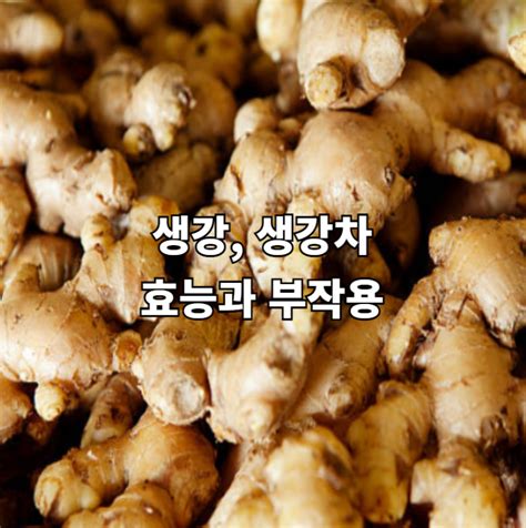 생강 효능과 부작용 알아보기 Ft 생강차 효능이 뛰어나요 네이버 블로그