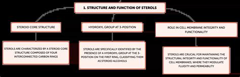 Sterols Essential Compounds For Life Algor Cards