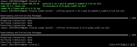 Linux离线状态下在anaconda中安装pytorch Toy模板网