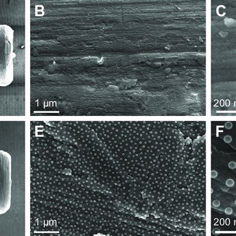 Sem Analysis Of The Surface Topography Notes The Low Magnification