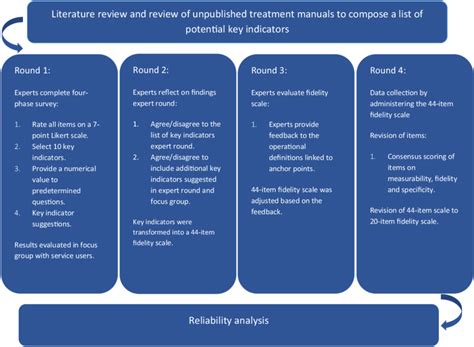 Overview Of The Development Of The Cat Fidelity Scale Download