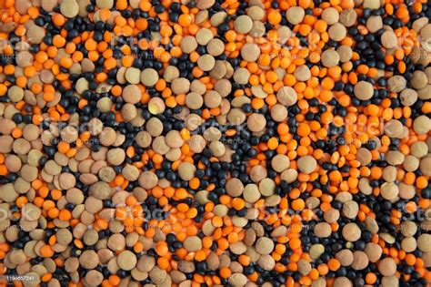 빨간색 갈색과 검은 색의 다른 품종의 렌즈 콩의 혼합물에서 배경 렌즈콩 질감 가까운에 대한 스톡 사진 및 기타 이미지 가까운 갈색 건강한 생활방식 Istock