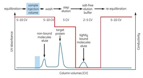 Selectivity And The Properties Of A Hic Medium