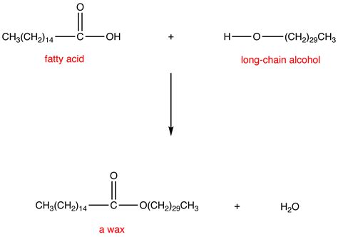 Diagram Of Wax Structure Waxes Structure And Functions