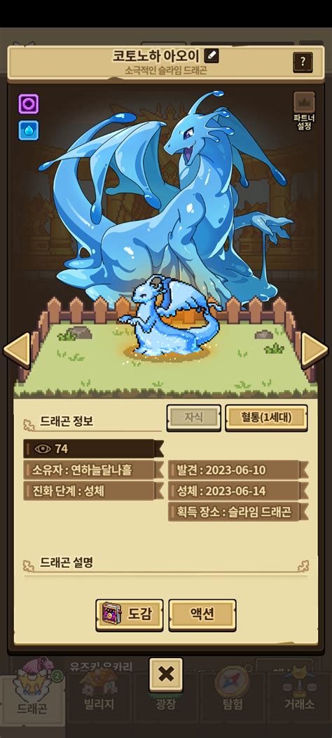 드래곤빌리지 컬렉션