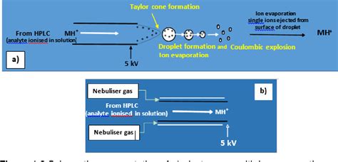 Figure 1 1 From Understanding Ms Ms Fragmentation Pathways Of Small Molecular Weight Molecules