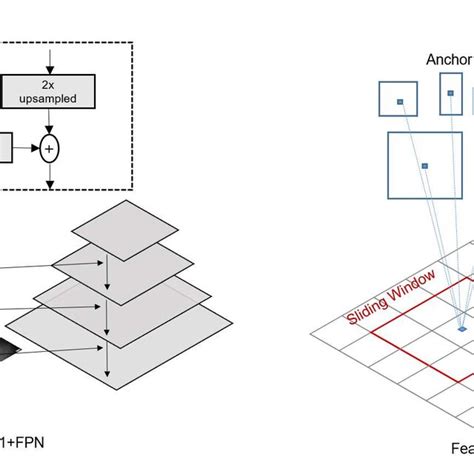 Backbone Network And Region Proposal Network A Backbone Network Is