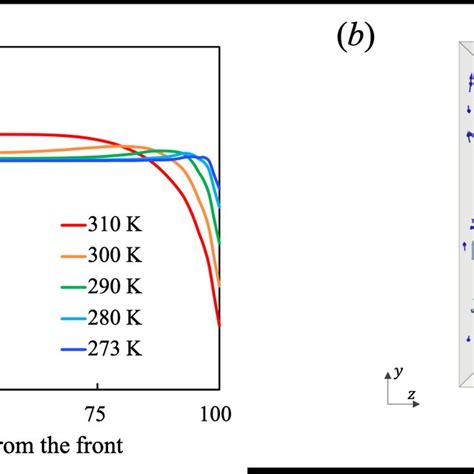 Aintegral Profile Of The Probability Density In Each Of The 100