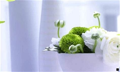 网站开发用的是什么语言 网站开发软件哪个好用 霸气网站开发