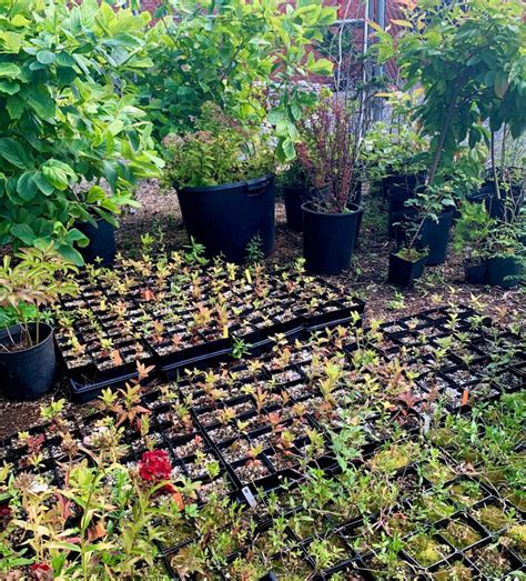 On Campus Evcc Sustainability