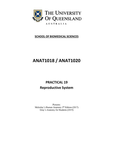PRAC Reproductive System Babe OF BIOMEDICAL SCIENCES ANAT ANAT PRACTICAL Studocu