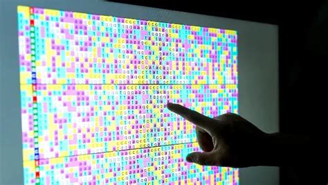 Rush Research Bioinformatics Core Rush Core Laboratories Rush