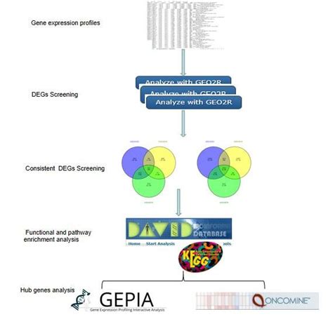 Flow Diagram Of Bioinformatics Analysis Table 1 The Detail Information Flow Diagram Of Bioinformatics Analysis Table 1 The Detail Information
