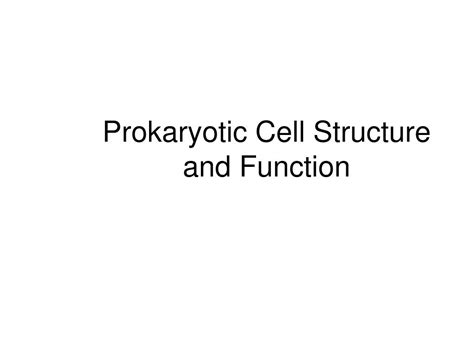 PPT Prokaryotic Cell Structure And Function PowerPoint Presentation Free Download ID