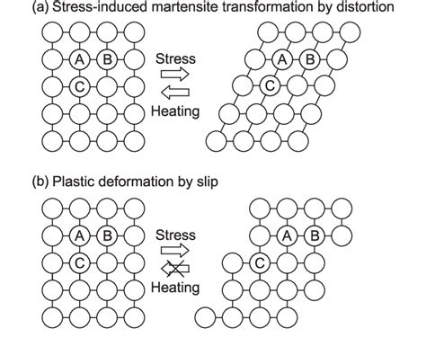 Different Atomic Behaviors Of A Stress Induced Martensitic Download Scientific Diagram