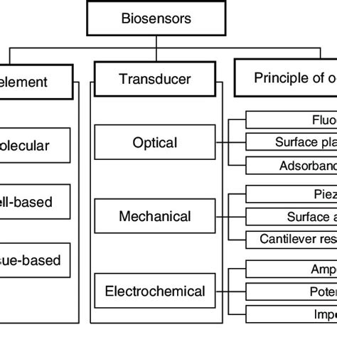 Pdf Biosensor Technology For Food Processing Safety And Packaging