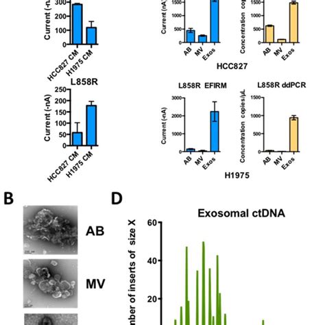 Distribution Of Usctdna With Mutated Egfr Dna In Different Download Scientific Diagram