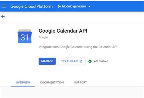 Crear Evento Api Calendar Google Con NodeJS Ingenius