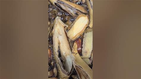 겨울철에 주전자 물 끓여먹기 보리차 검은콩차 끓인물 작두콩차 식중독예방물끓여먹기 안전한식수 세균박멸물끓여먹기 물효능 따뜻한물효능 음양탕물의효능 물마시기 상황버섯물