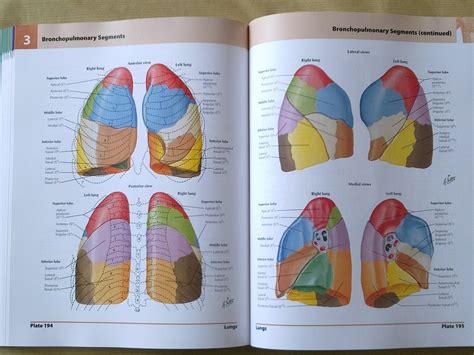 Bukumedik Blogspot Medical Books Online Shoppe Netter Atlas Of Human Anatomy 5th Edition