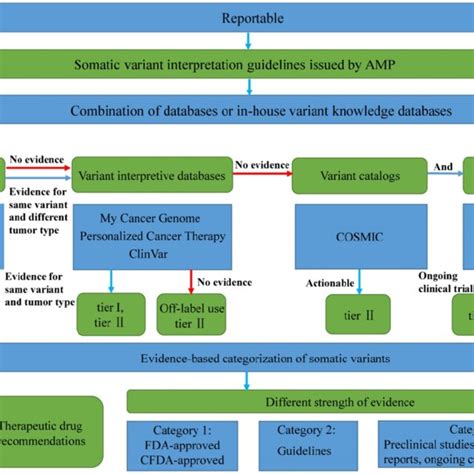 Pipeline For Variant Interpretation In Clinical Laboratories Download Scientific Diagram