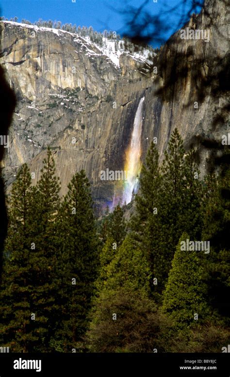 Yosemite Falls National Park Usa Forest Nature Natural Tree Waterfall