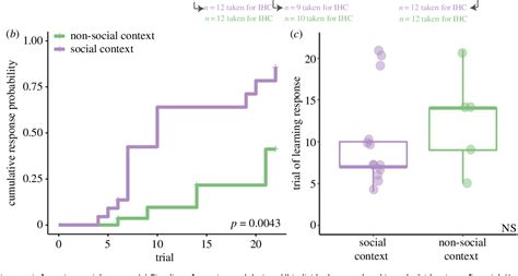 Figure From Neural Activity Patterns Differ Between Learning Contexts In A Social Fish
