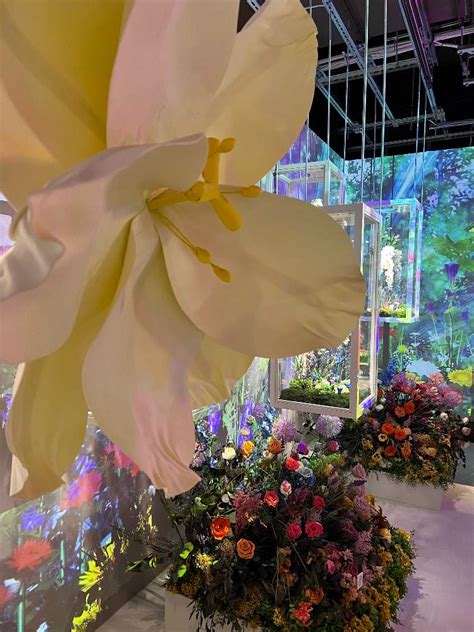 Naked Flowers For You Greensnap