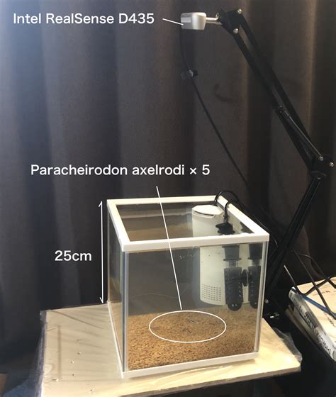 Github Ankou Research Institute D Fish Tracker D Fish Tracker Using Opencv And Intel Realsense