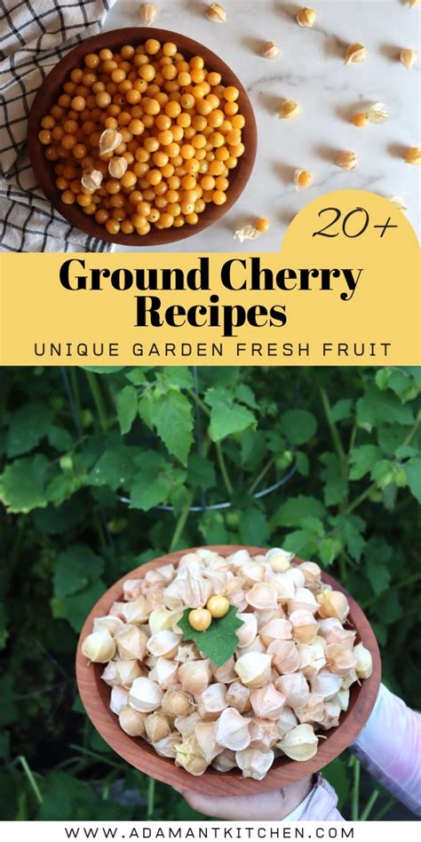 20 Ground Cherry Recipes Husk Cherries Adamant Kitchen