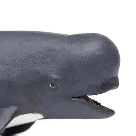 Safari Ltd Pilot Whale Animal Kingdoms Toy Store